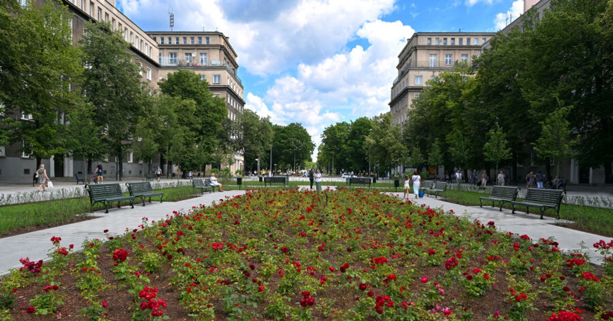 Kwitnący piknik w alei Róż
