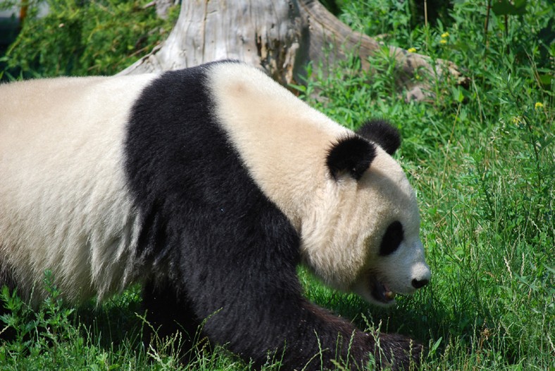 Przygoda w zoo - Podróże