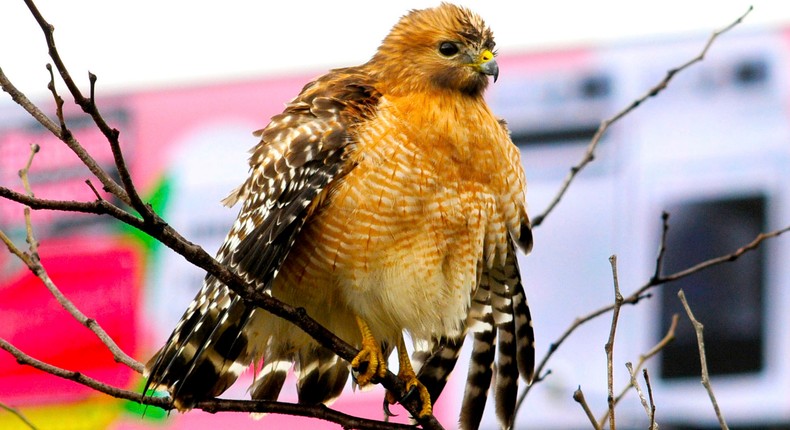 New Jersey's environmental agency called itself out for destroying two ...