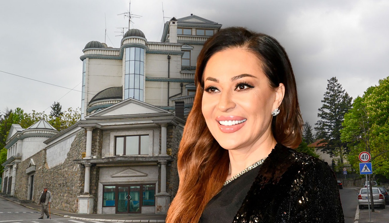 Ceca pokazala šta radi sama u vili na Dedinju, dok su joj deca van ...