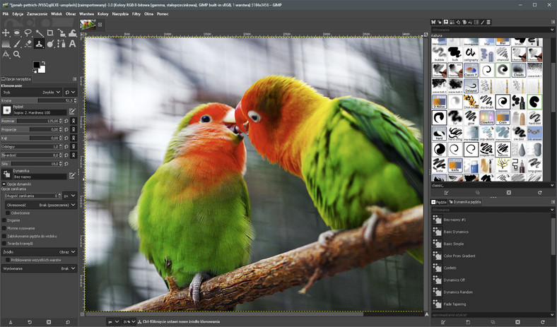 Najlepsze programy graficzne za darmo – wybór aplikacji pozostawiamy Tobie