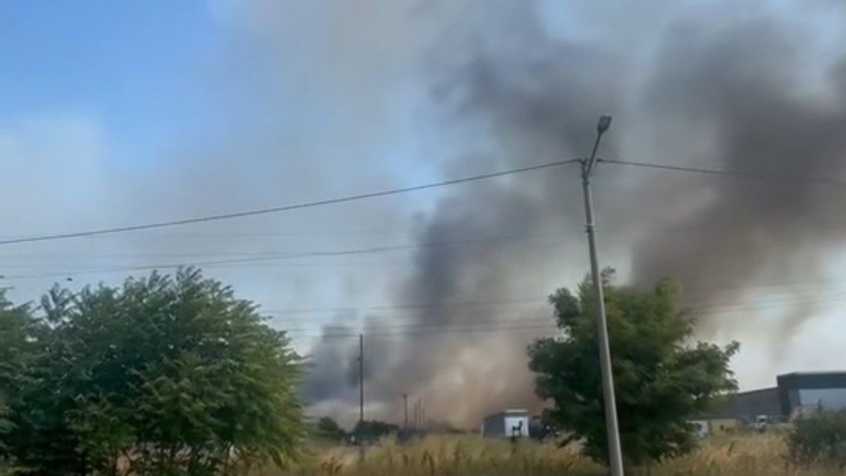 Požar na Batajničkom drumu, vatrena stihija se širi, vatrogasci na terenu - Blic