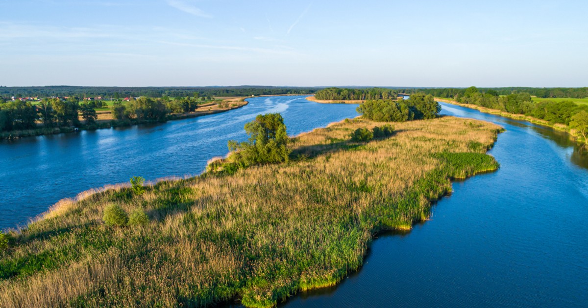 Renaturyzacja Odry. Ministerstwo środowiska przedstawia plany - Zielony ...