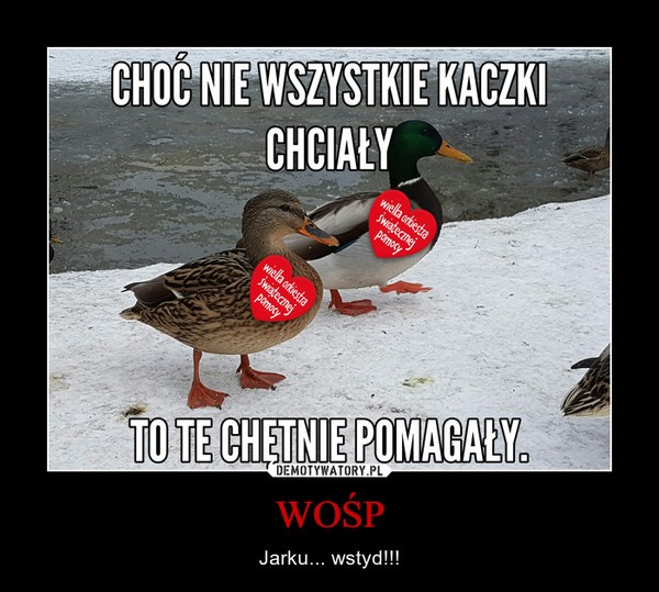 WOŚP memy: wielka Orkiestra Świątecznej Pomocy okiem internautów ...