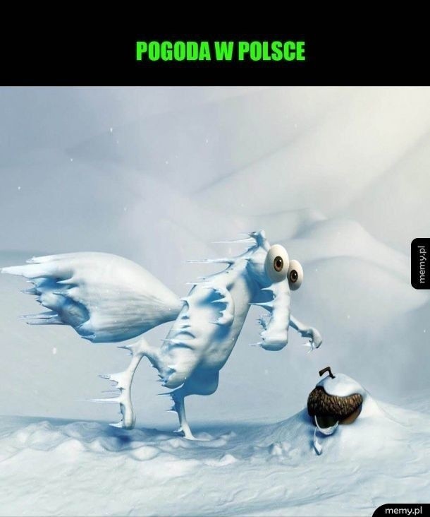 Zima dotarła do Polski. Oto najlepsze memy - Kobieta