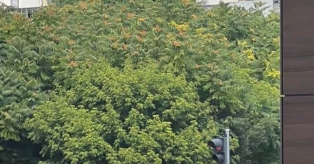 "SAMO JE NESTAO" Automobil nasred ulice upao u veliku rupu (VIDEO) - Blic