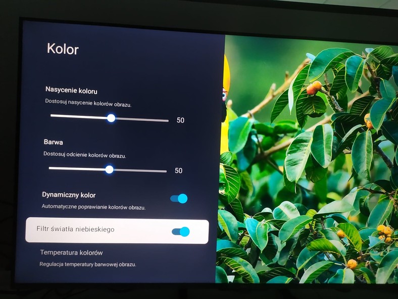 Recenzja TCL735 - tani telewizor QLED 4K z Google SmartTV