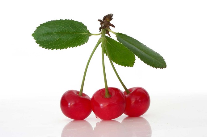 12 razloga da jedete višnje - Zena.rs