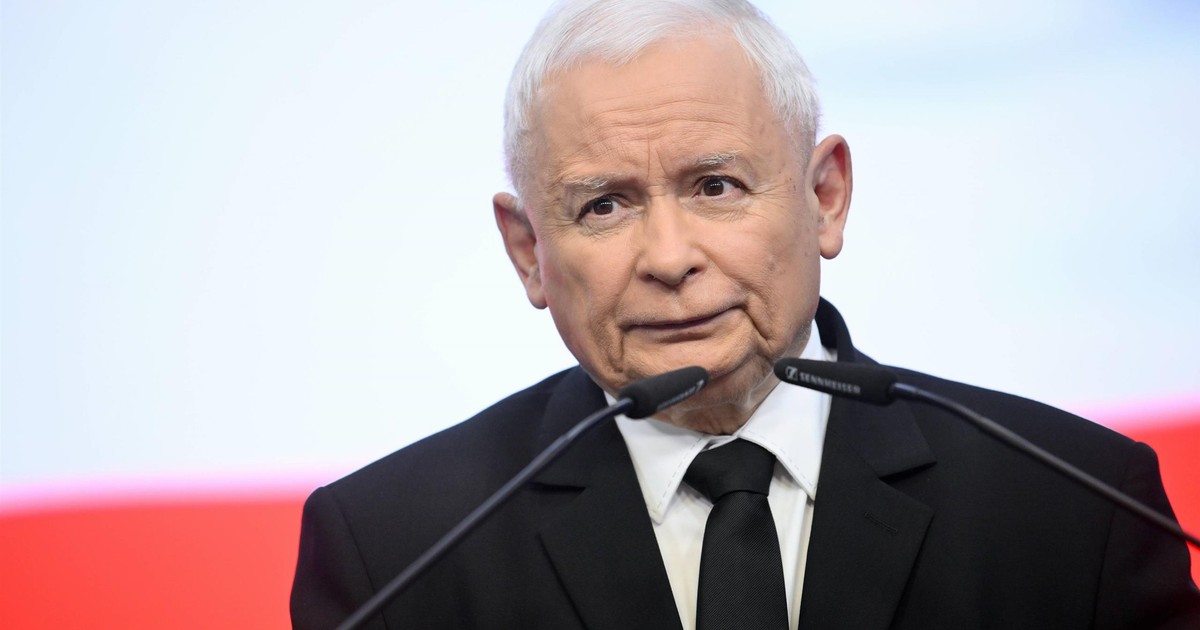 Sensacyjne doniesienia! PiS po przegranej uruchamia plan B