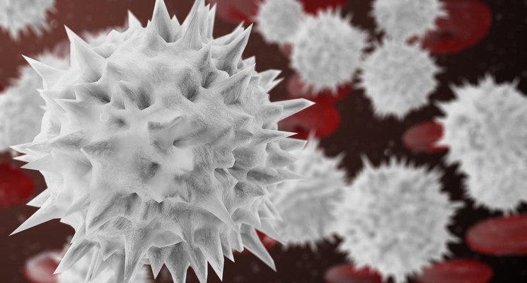 Leukocyty – rodzaje, badanie krwi, normy, obecność w moczu