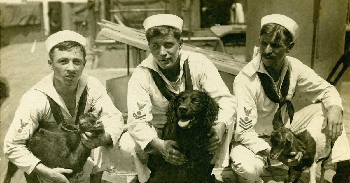 Photos show dependable sea dogs serving alongside US sailors in the ...
