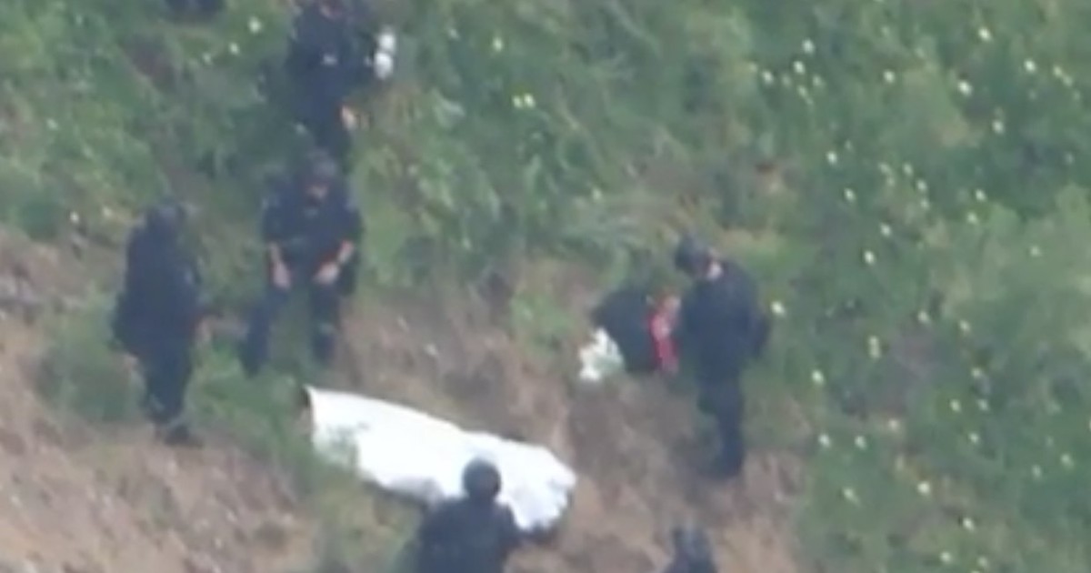 A SWAT team in Los Angeles shot and killed a suspect from a helicopter ...