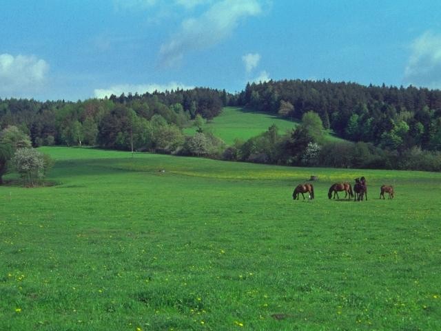 Najpiękniejsze góry Polski - Podróże