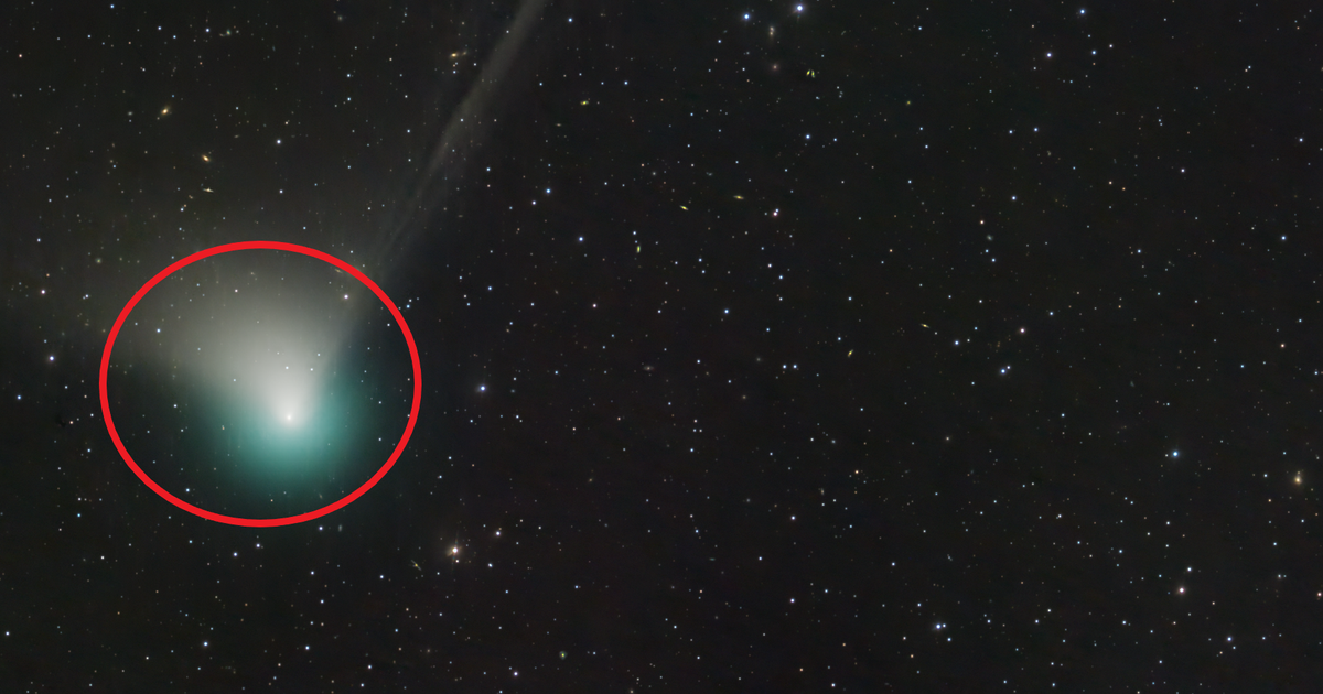 Kometa niewidziana 50 tys. lat ponownie pojawi się na niebie. NASA ...