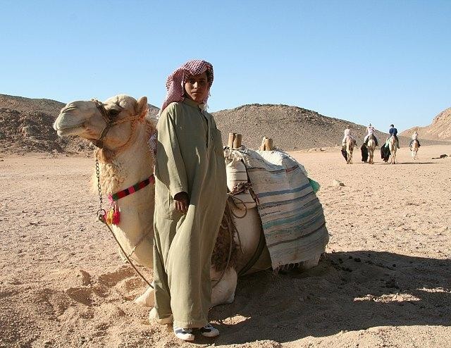 Egipt - Pustynia Arabska - Podróże