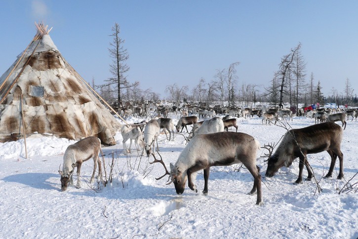 Mroźna i tajemnicza Syberia