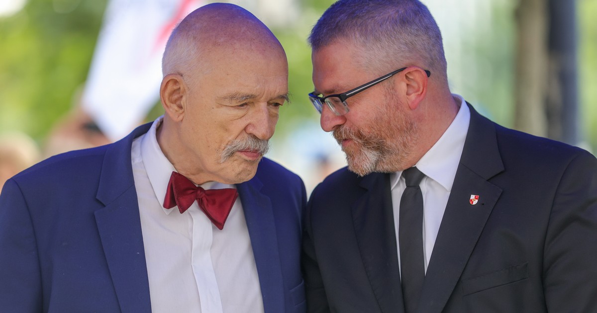 Kobra chce kąsać Konfederację. Nowy plan Janusza Korwin-Mikkego i Grzegorza Brauna - Wiadomości