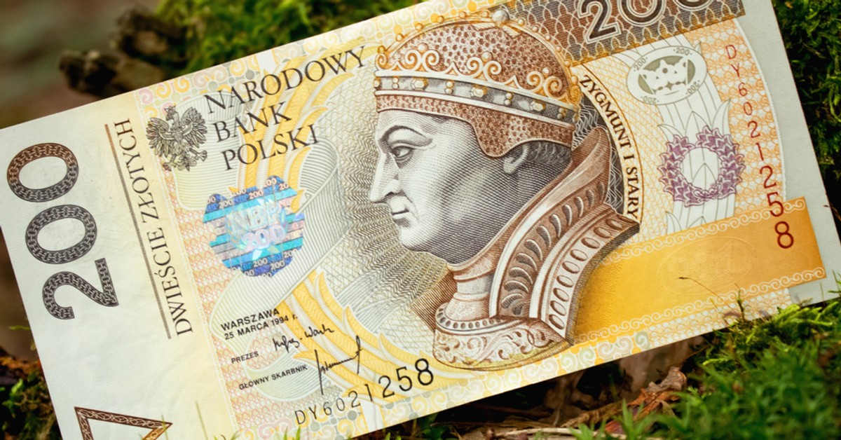 Jak obliczyć podatek leśny? - GazetaPrawna.pl