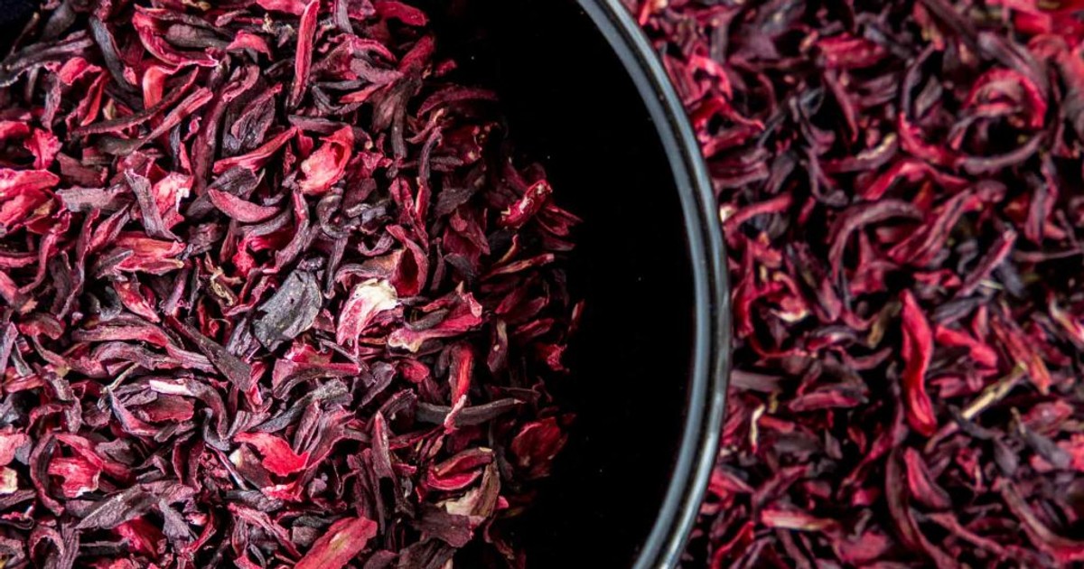 5 Medicinal Benefits Of Hibiscus Zobo Leaves Pulse Nigeria