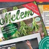 Blic dnevne novine - Blic Online