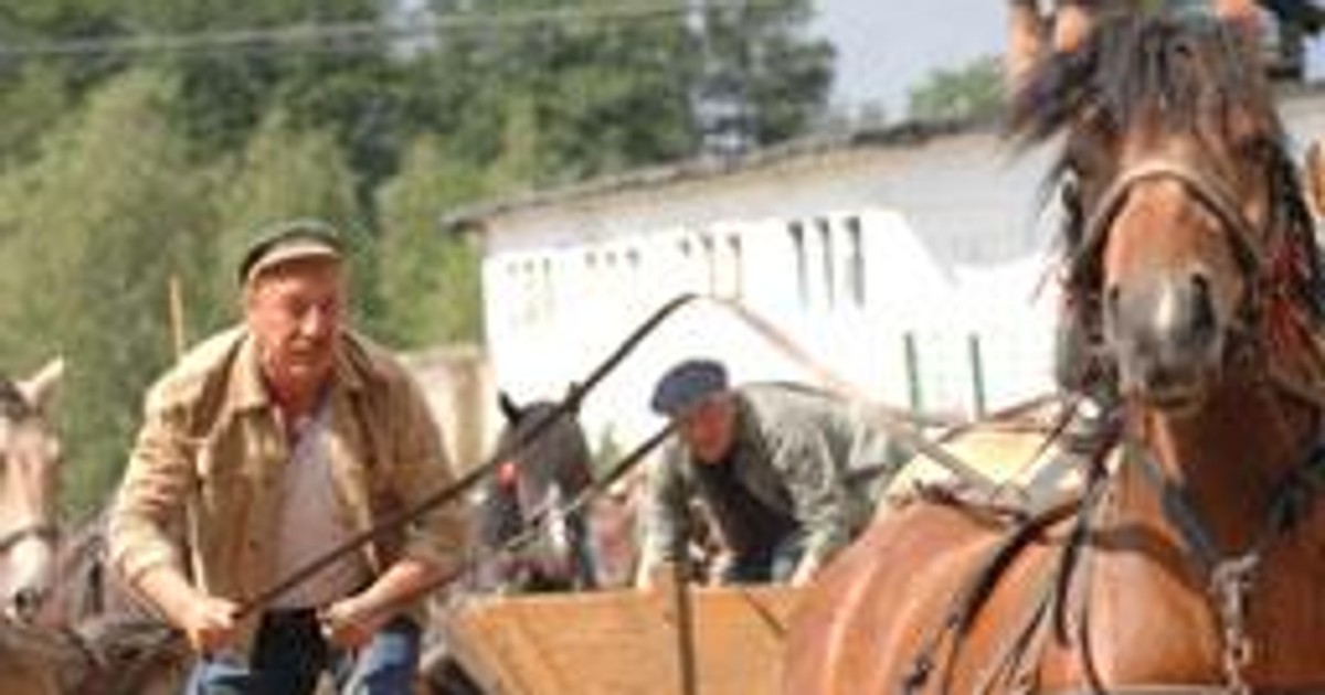 "Ranczo Wilkowyje": rydwany i furmanki - Film