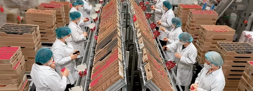 Diamenty Forbesa - APACK Sp. z o.o.