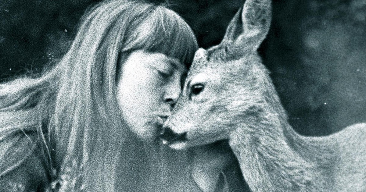 "Simona": Zwiastun filmu o Simonie Kossak. Miała skomplikowane życie - Film