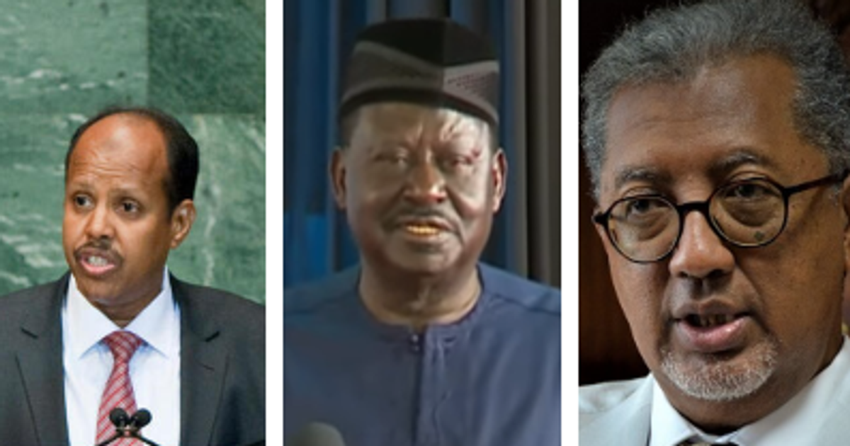 Profiles of the 3 candidates in race for the African Union chairperson ...