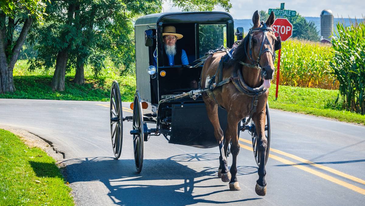 Driftująca dorożka, czyli "Fast and Amish"