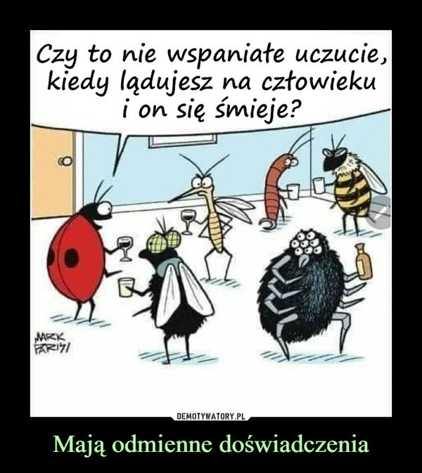 Najzabawniejsze memy o komarach. Padniesz ze śmiechu - Kobieta