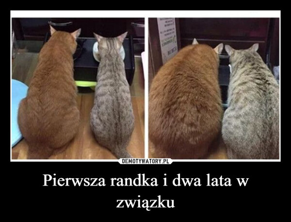 Walentynki z przymrużeniem oka. Oto najlepsze memy - Kobieta