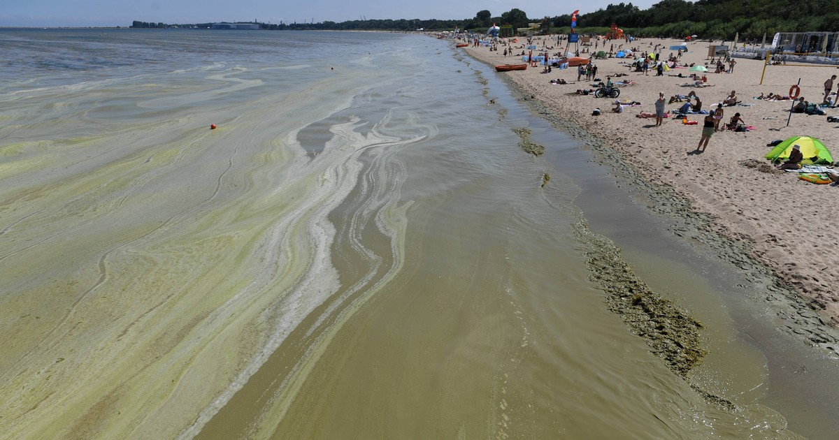 Sinice w Bałtyku. Prawie wszystkie trójmiejskie plaże zamknięte ...
