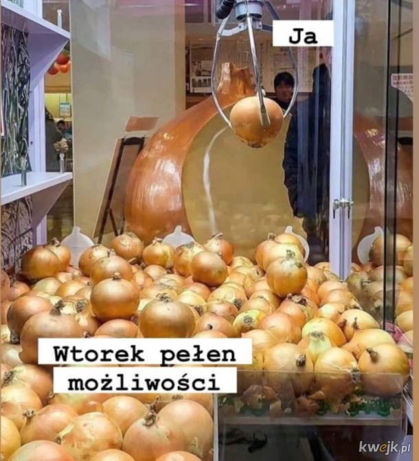 Dopiero wtorek, a już czekasz na weekend? Te memy poprawią ci humor ...