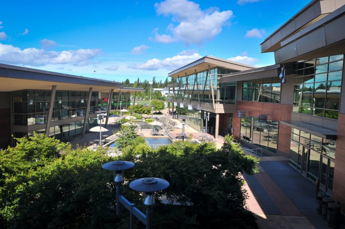 Główna siedziba Microsoftu - jak wygląda praca w Microsofcie