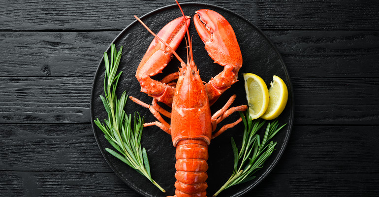 Homar – wartości odżywcze, kalorie, właściwości zdrowotne