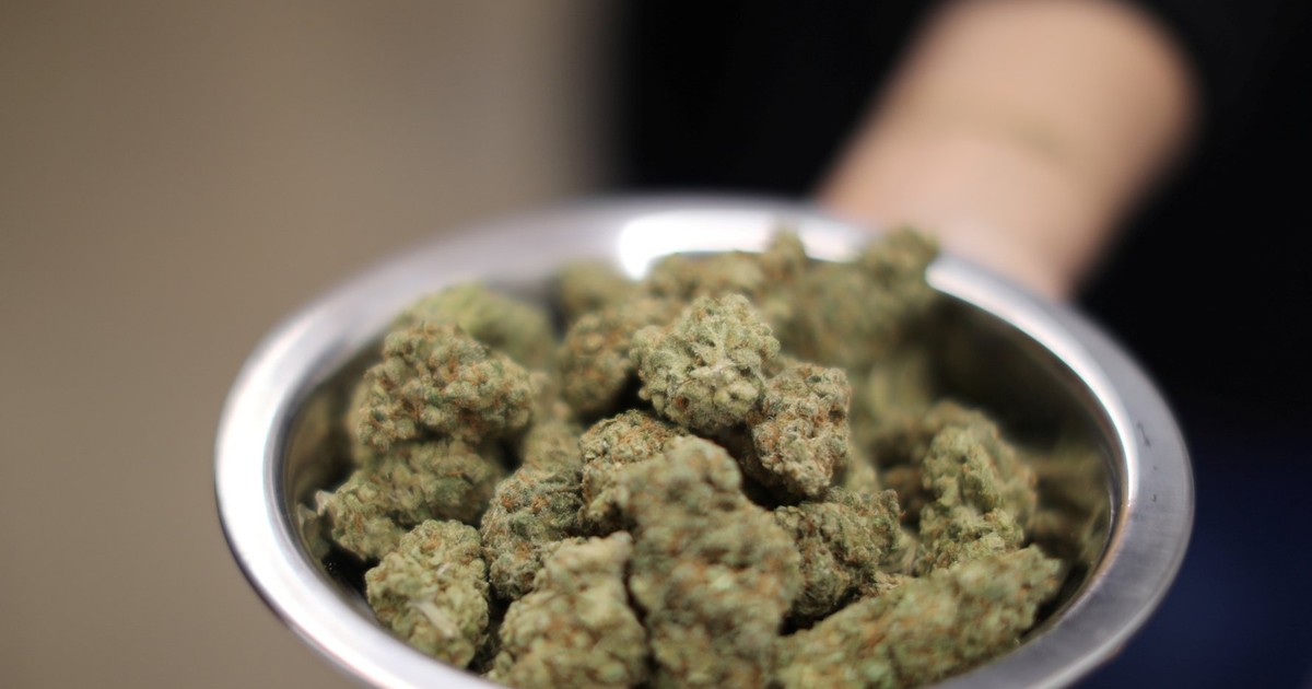 Hemp and marijuana come from the same plant, but only one will get you ...