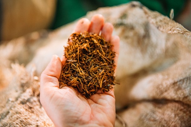 Kolumb, cygaretki i e-papierosy, czyli tytoniowa historia świata | Newsweek