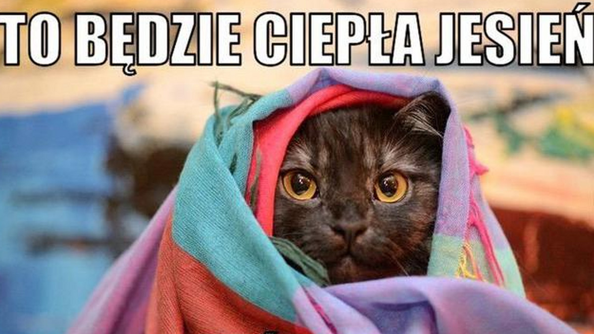 Jesień w pełni. Internautów nie opuszcza poczucie humoru [MEMY] - Kobieta