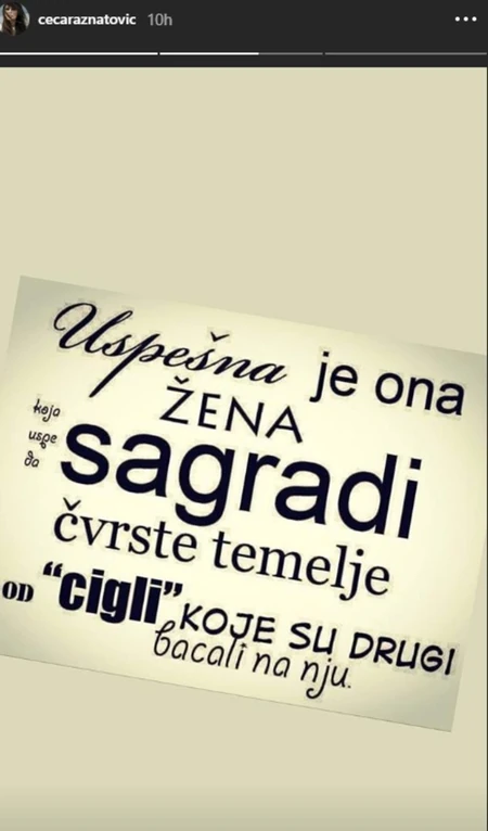 ceca raznatovic instagram uspesna zena - Blic