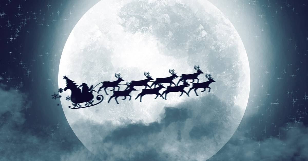 Naučnici kažu da su irvasi deda mraza sve ženke Noizz