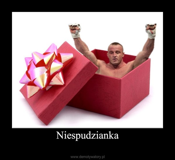 Mariusz Pudzianowski to ulubieniec internautów. Zebraliśmy najlepsze ...