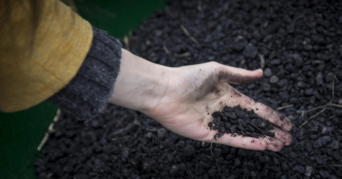 How a soil additive called biochar can help fight the climate crisis by ...
