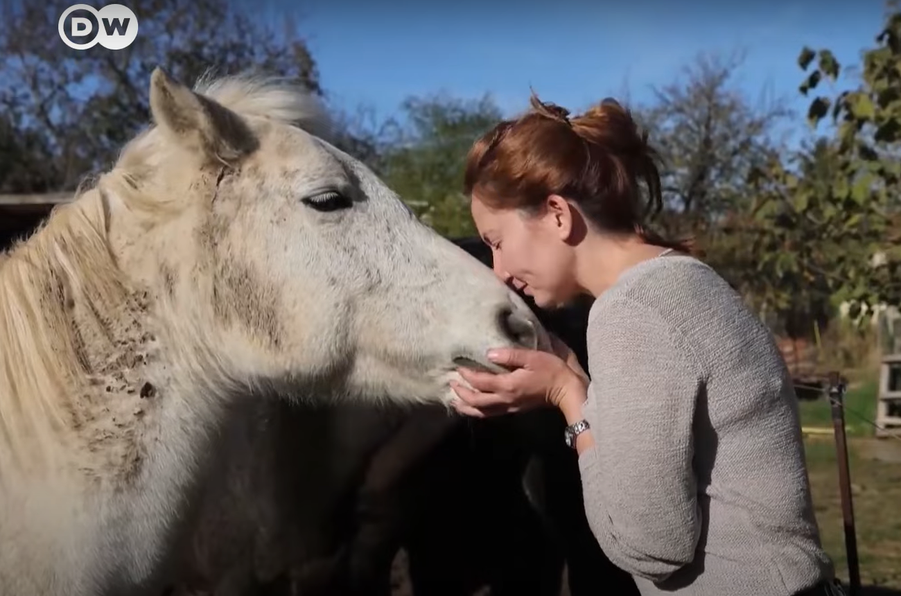Azil "Staro brdo" u Lapovu jedini je azil za konje u Srbiji i čitavom Balkanu - Blic