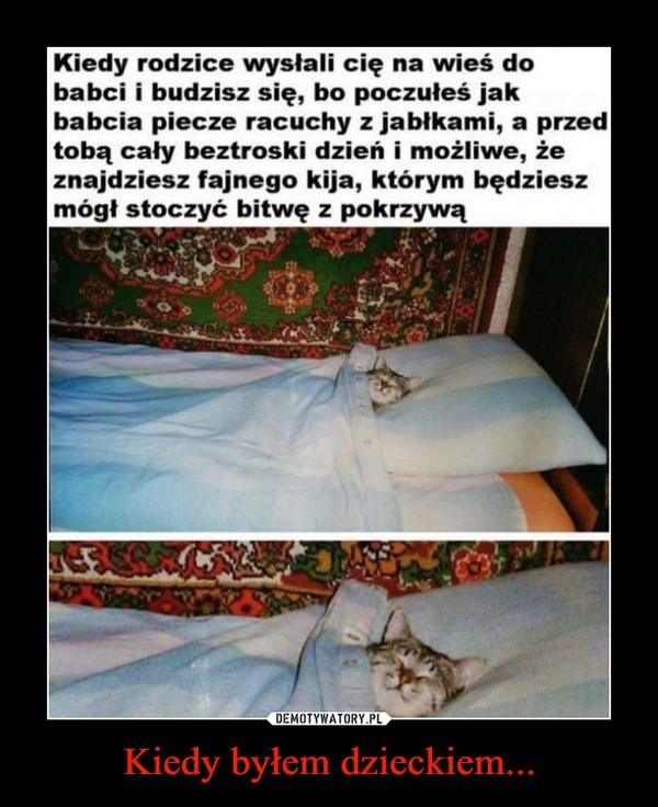 Dzień Babci i Dziadka. Oto najlepsze memy. Rozbawią was do łez! - Kobieta