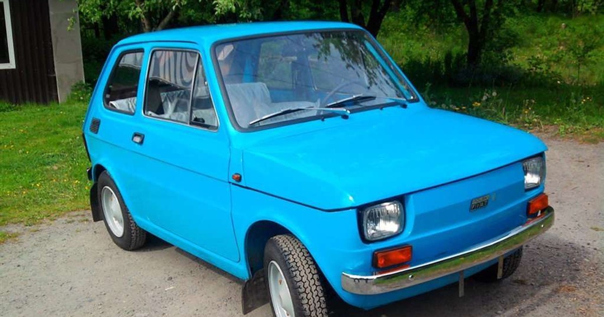 Maluch rekordzista osiągnął cenę...