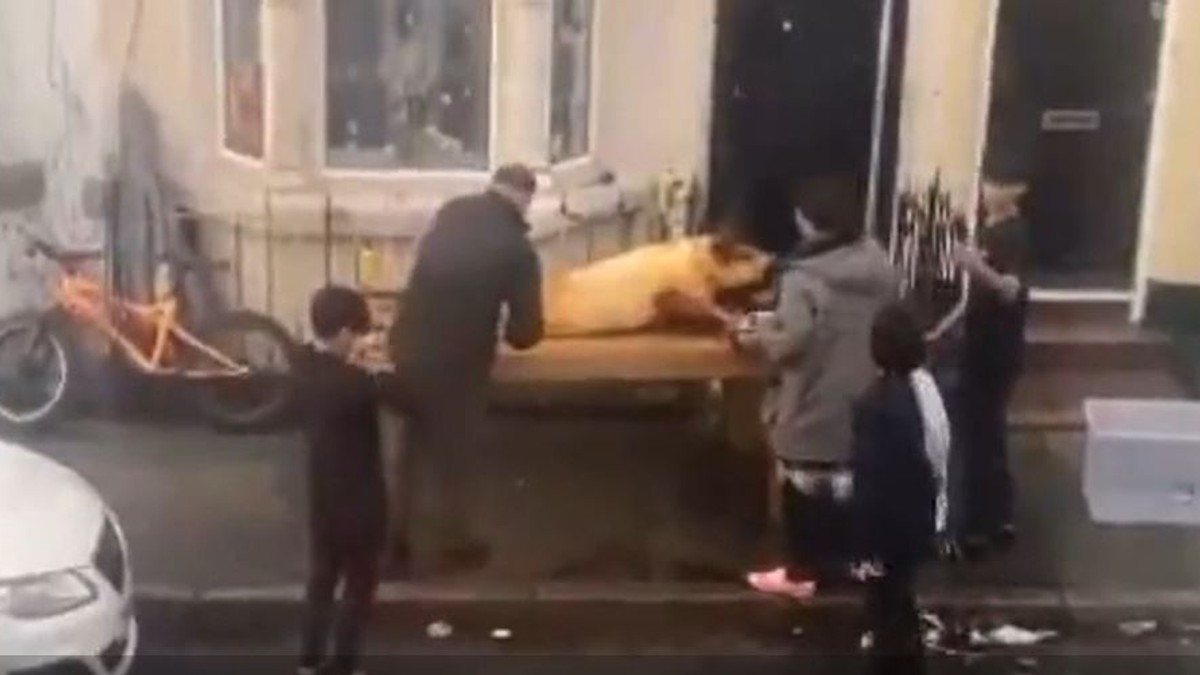 Bizarna scena u Liverpulu: Porodica iz Rumunije pravila svinjokolj ispred kuće u srcu grada - Blic