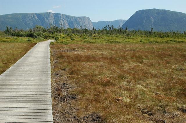 Kanada - wschodnia część i Nowa Fundlandia - Podróże