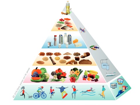 Nowa Piramida Zdrowego Żywienia i Stylu Życia. Co się zmieniło? - Onet ...