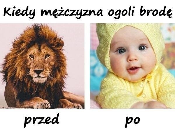 Memy na Dzień Mężczyzn. Od śmiechu rozboli was brzuch - Plejada.pl