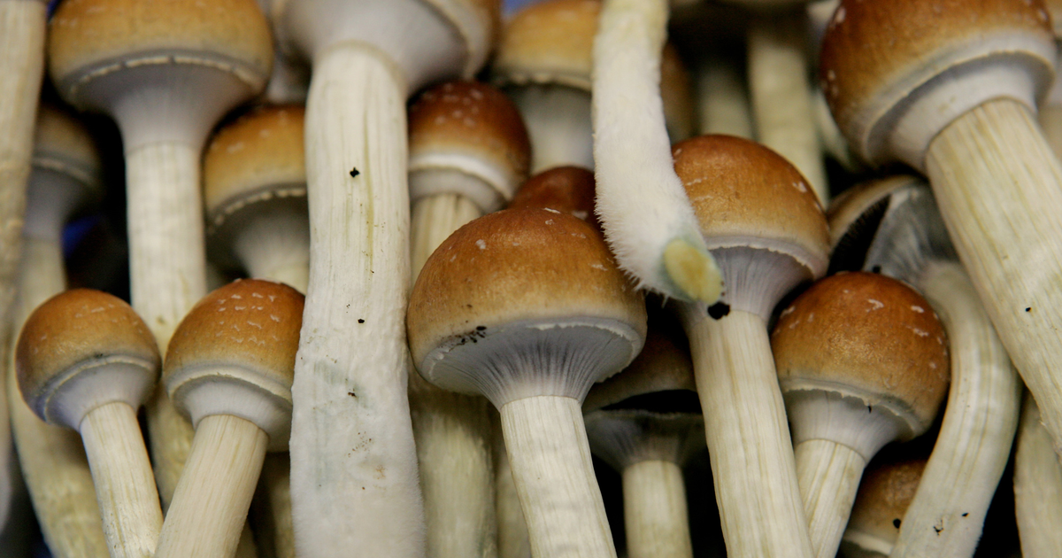 Denver could become the first city to decriminalize psychedelic ...